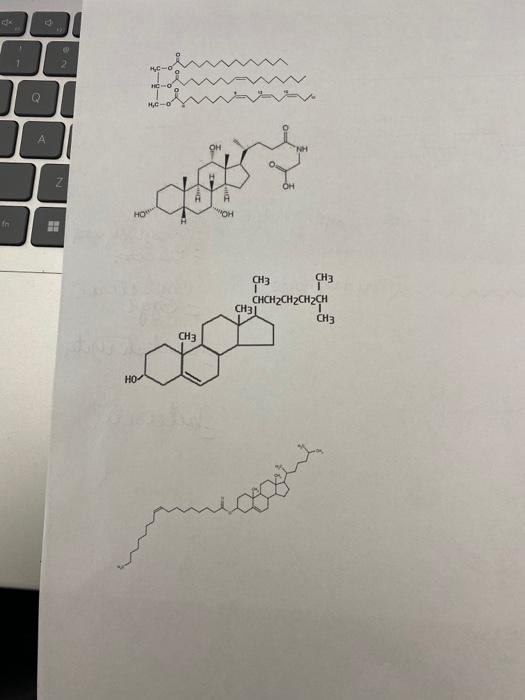 Solved For each of the structures listed below identify the | Chegg.com