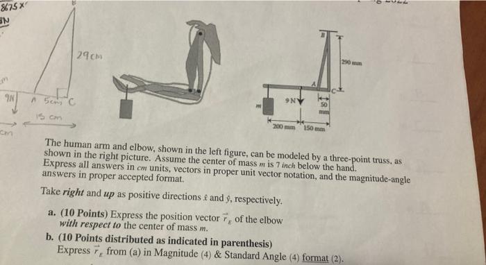 Solved The human arm and elbow, shown in the left figure, | Chegg.com