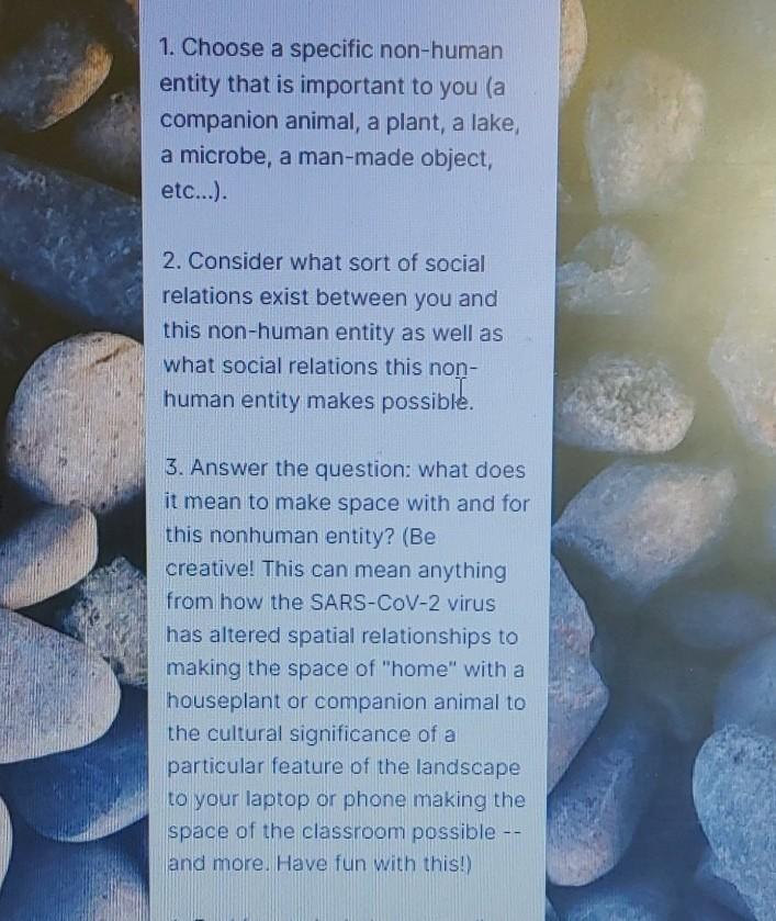 Solved 1. Choose a specific non-human entity that is | Chegg.com