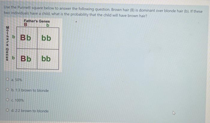 Solved Use the Punnett square below to answer the following | Chegg.com