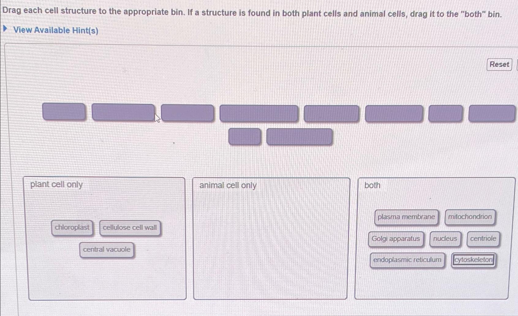 Solved Drag each cell structure to the appropriate bin. If a | Chegg.com