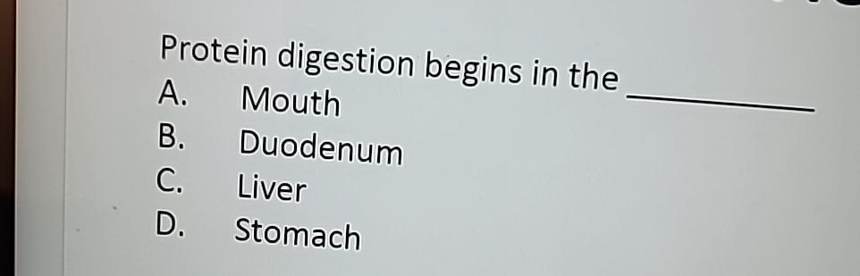 Solved Protein digestion begins in theA. ﻿MouthB. | Chegg.com
