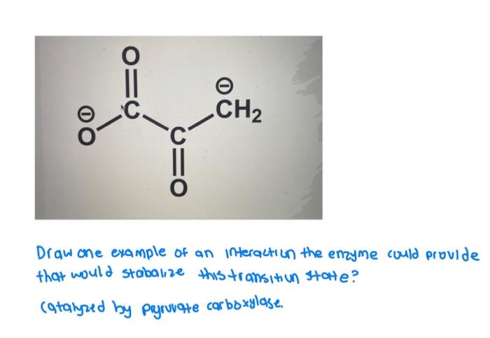 Solved Draw one example of an interaction the enzyme could | Chegg.com