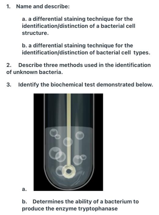 Solved a. a differential staining technique for the | Chegg.com