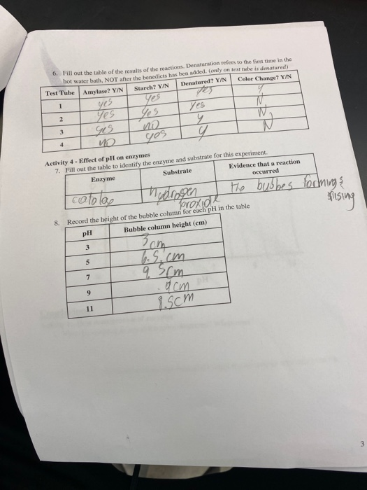 Solved Data Activity 1. Heat denaturation of enzymes 1. Hill | Chegg.com