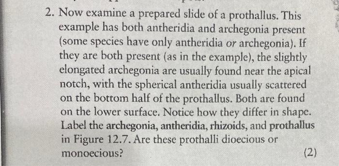 2. Now examine a prepared slide of a prothallus. This | Chegg.com