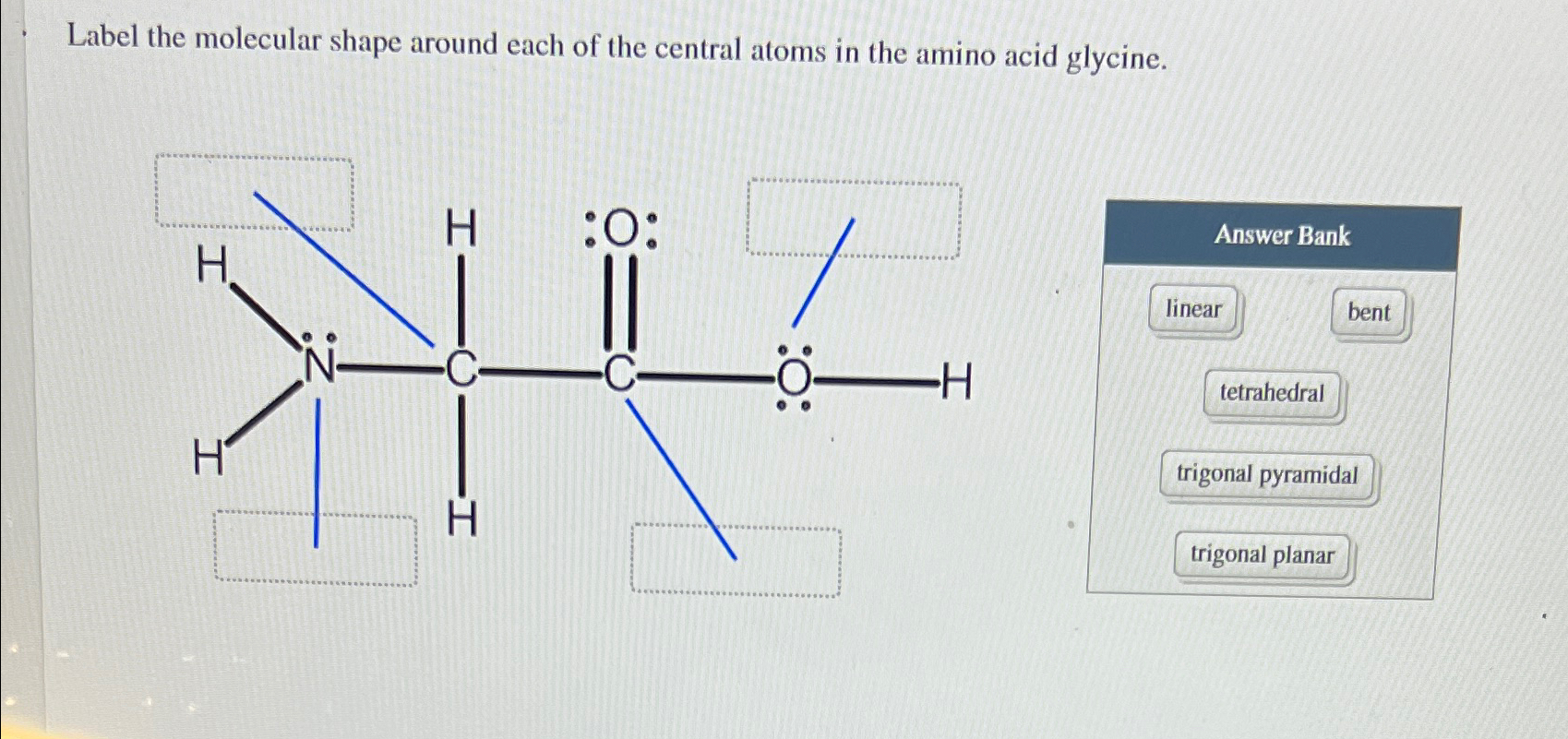 Solved Label the molecular shape around each of the central | Chegg.com