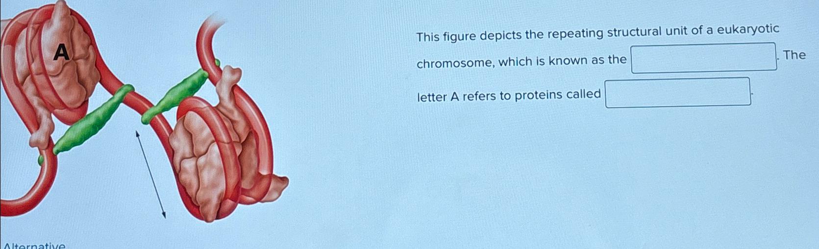 Solved This figure depicts the repeating structural unit of | Chegg.com