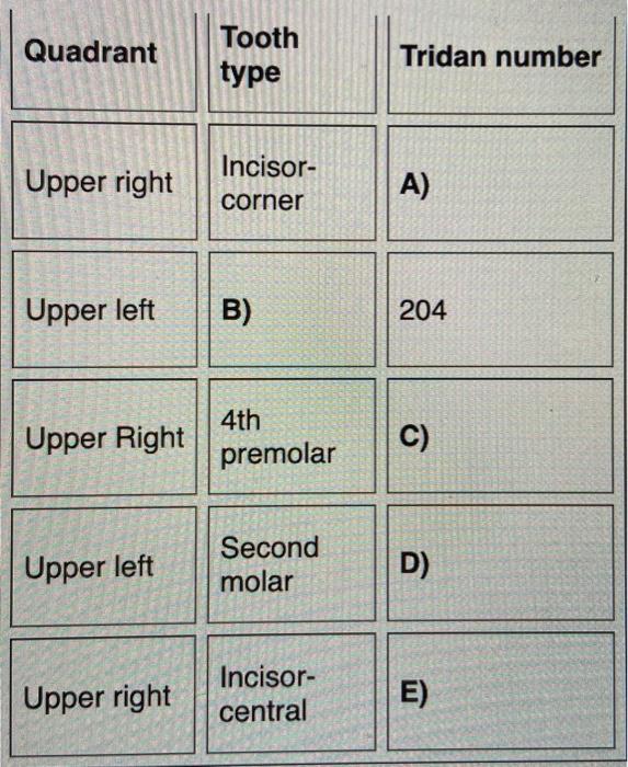 Solved complete the table relating to the canine maxillary | Chegg.com