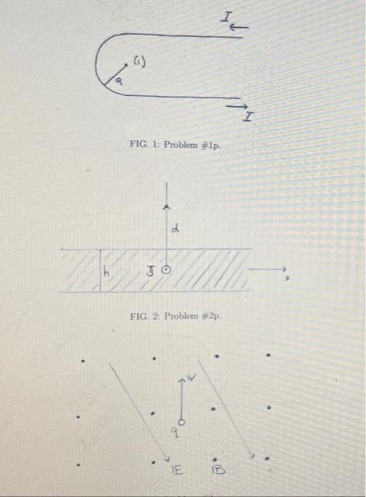Solved Electromagnetics Physics 202, Section 02 Problem #1p: | Chegg.com