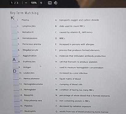 Solved 13100%Key Term | Chegg.com