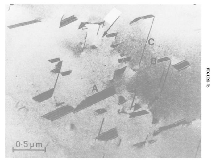 FIGURE 5a | Chegg.com