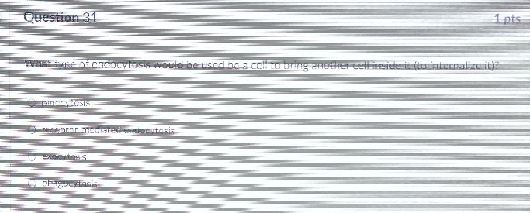Solved Question 31 1 pts What type of endocytosis would be | Chegg.com Solved Question 31 1 pts What type of endocytosis would be | Chegg.com