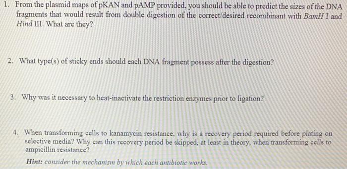 Solved From the plasmid maps of pKAN and pAMP provided, you | Chegg.com
