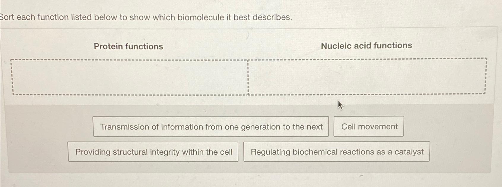 Solved Sort each function listed below to show which | Chegg.com