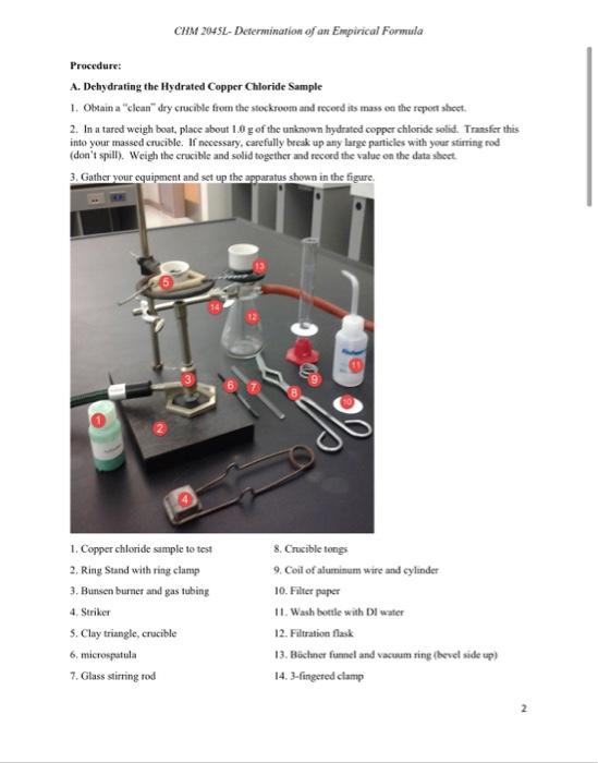 I have attatched all pages of the lab | Chegg.com