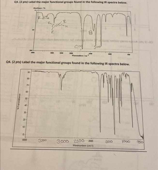 Solved Q3. (2 pts) Label the major functional groups found | Chegg.com