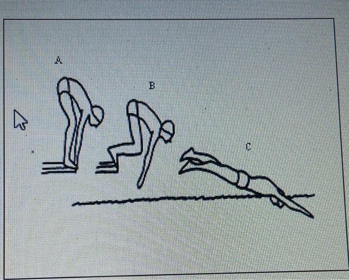 i.36. What is the sagittal plane position of the | Chegg.com