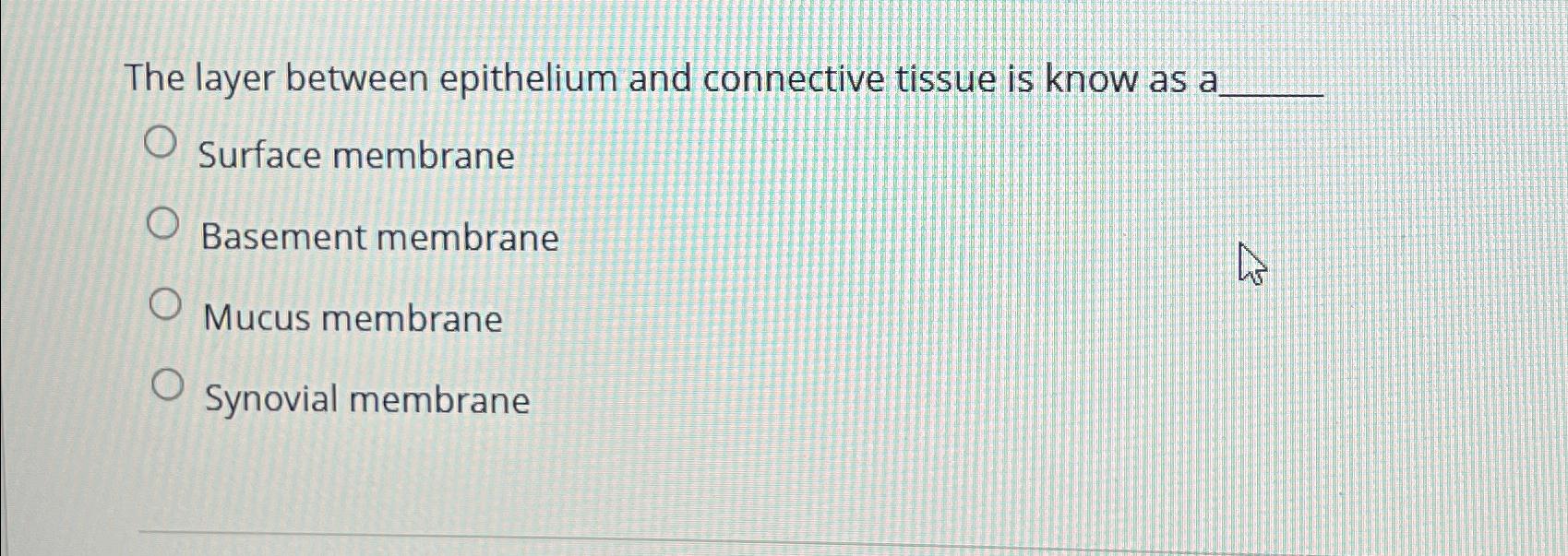 Solved The layer between epithelium and connective tissue is | Chegg.com
