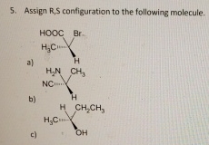 Solved Assign R,S configuration to the following | Chegg.com