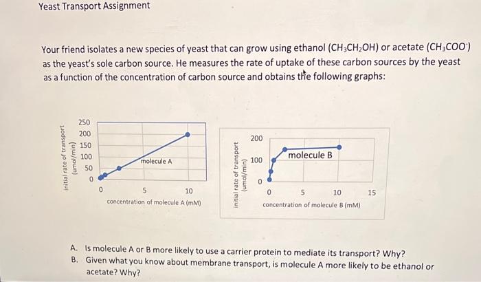 Solved Your friend isolates a new species of yeast that can | Chegg.com