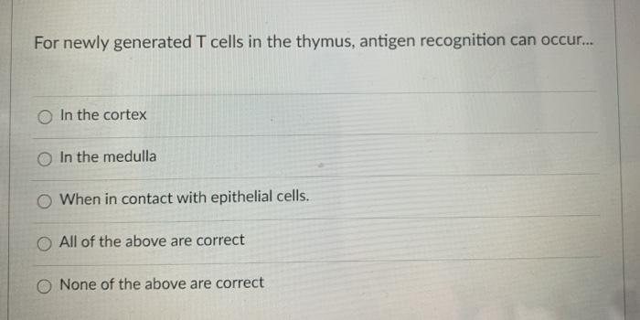 Solved A primary RNA transcript that is created by | Chegg.com