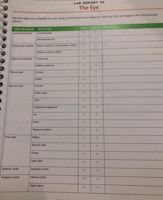 Solved LAB REPORT 30 The Eye Use this table as a checklist | Chegg.com