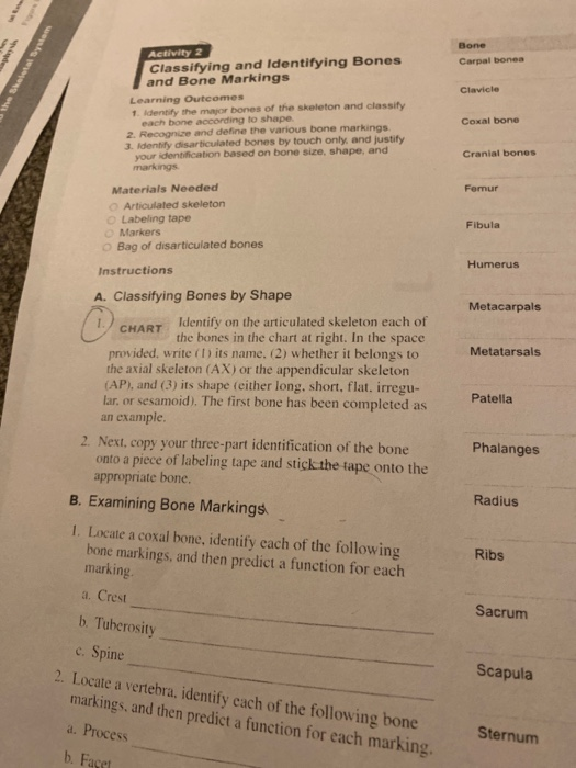 Solved Bone Carpal bones Clavicle Coxal bone Activity 2 | Chegg.com