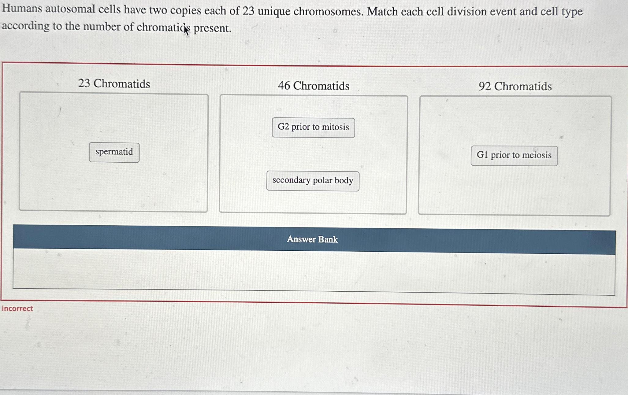 Solved Humans autosomal cells have two copies each of 23 | Chegg.com