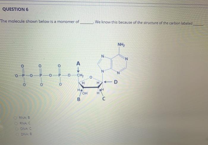 Solved QUESTION 5 Chargaff rule applies to O dsDNA All | Chegg.com