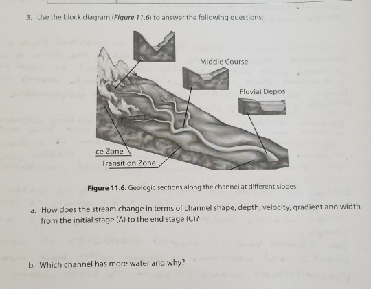 Solved 3. Use the block diagram (Figure 11.6) to answer the | Chegg.com