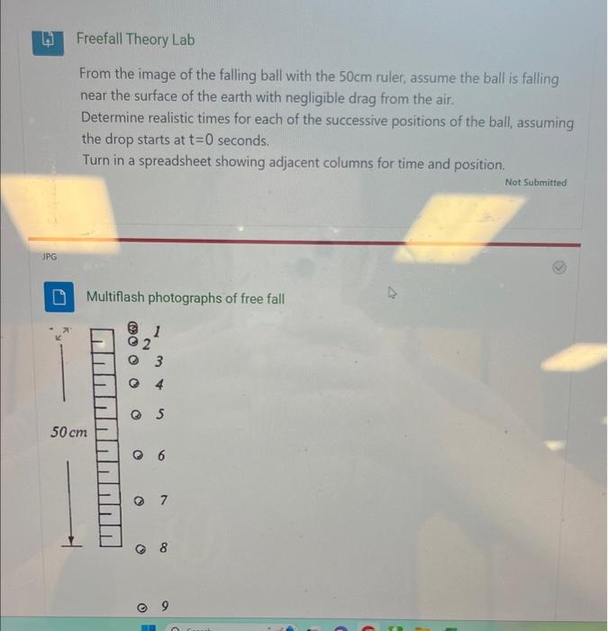 Solved Freefall Theory Lab From the image of the falling | Chegg.com