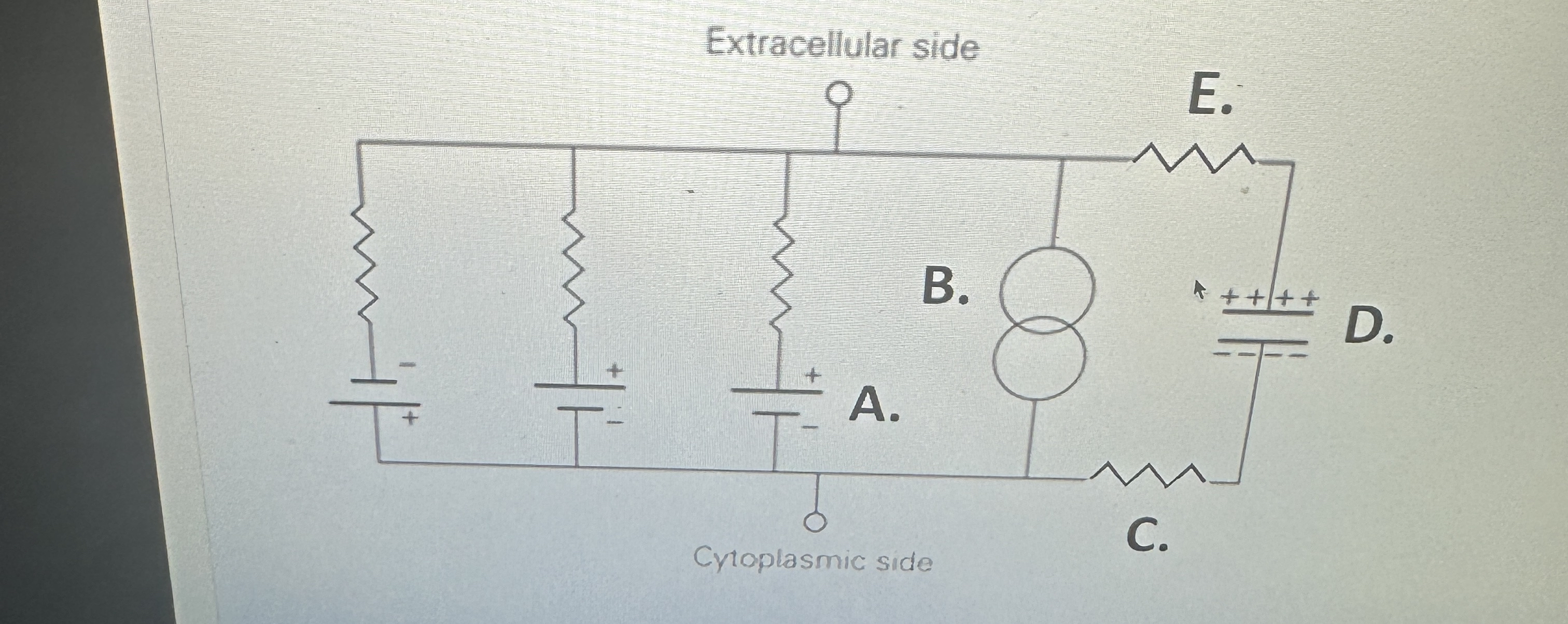 Solved Which letter corresponds to the electrical-circuit | Chegg.com