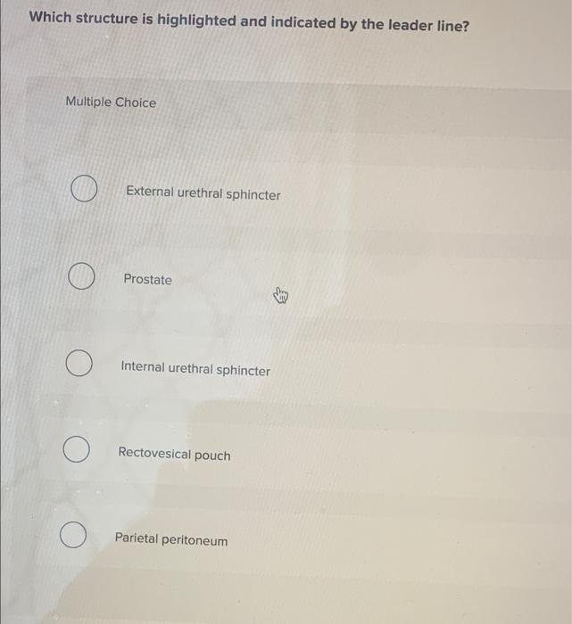 Solved APR photo McGraw-Hill Education Which structure is | Chegg.com