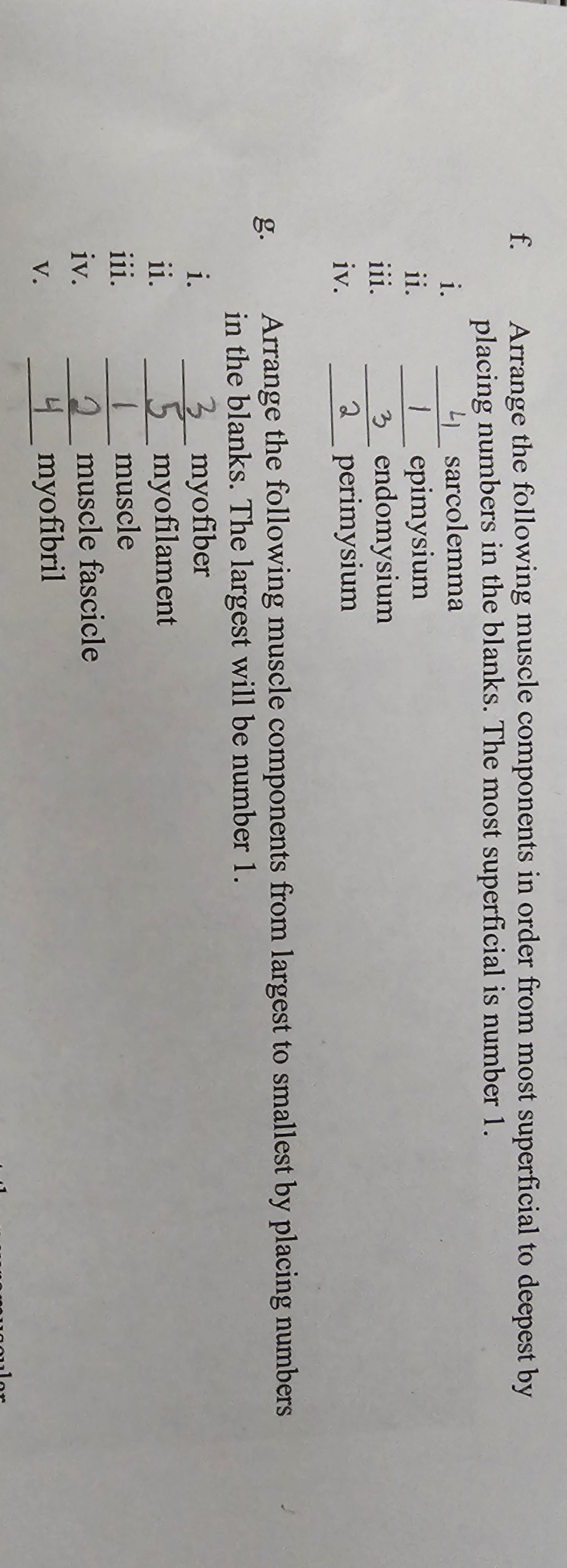 Solved f. ﻿Arrange the following muscle components in order | Chegg.com