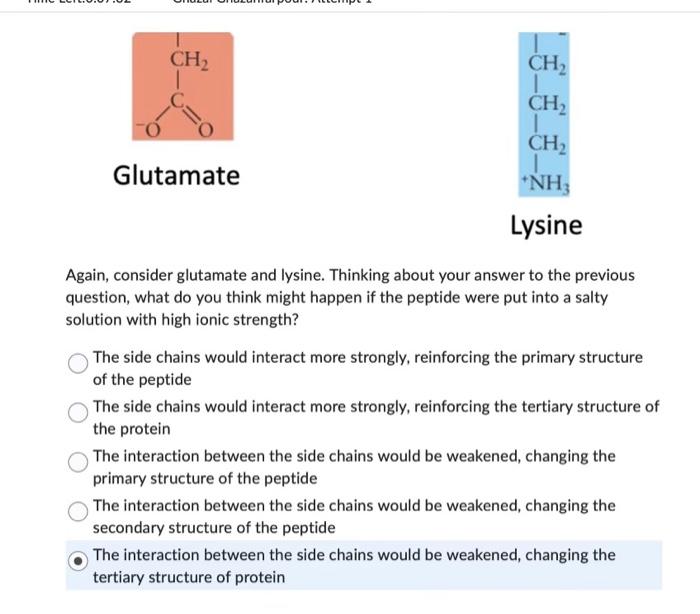 Solved Glutamate Again, consider glutamate and lysine. | Chegg.com