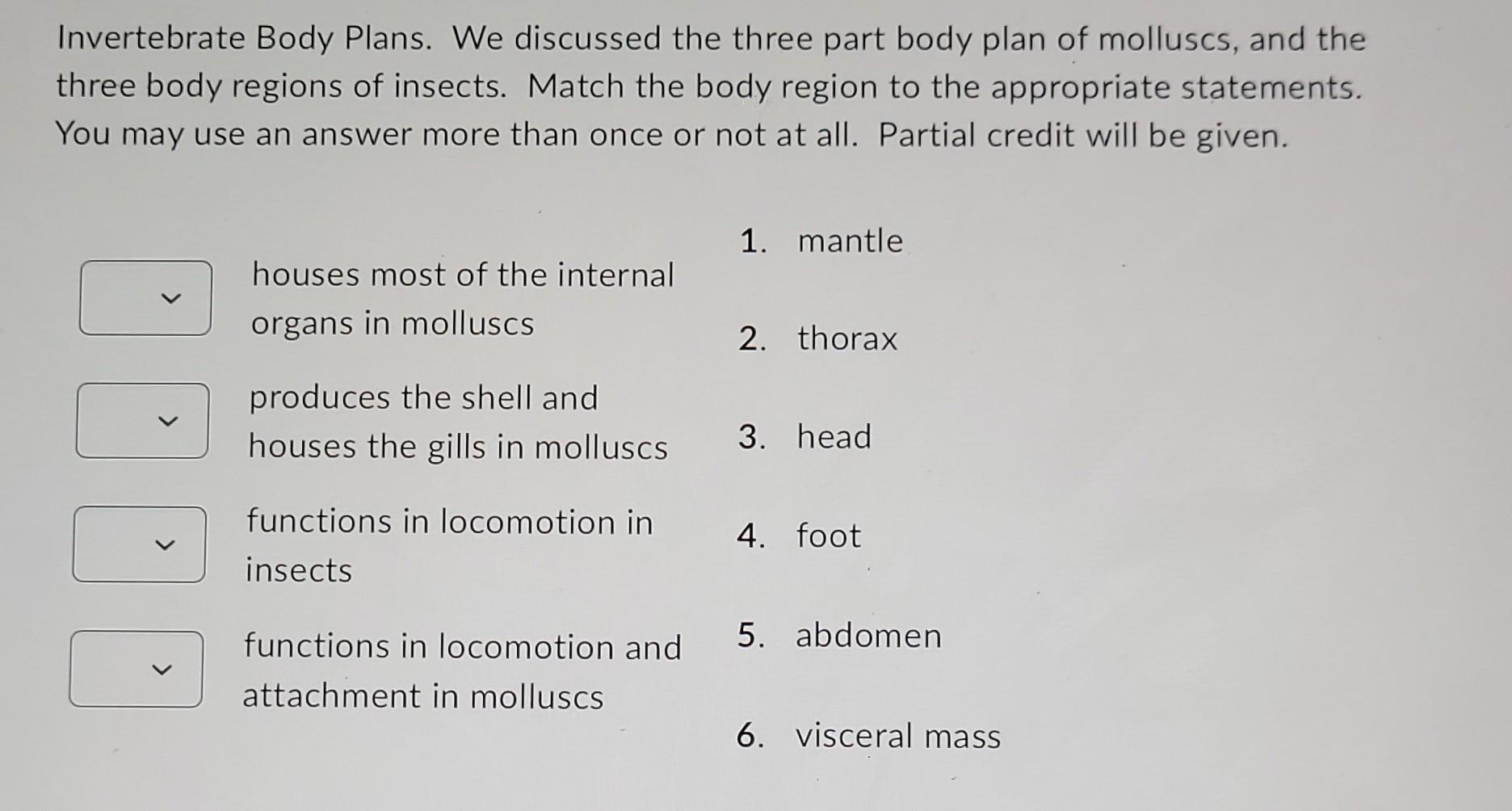 Solved Invertebrate Body Plans. We discussed the three part | Chegg.com