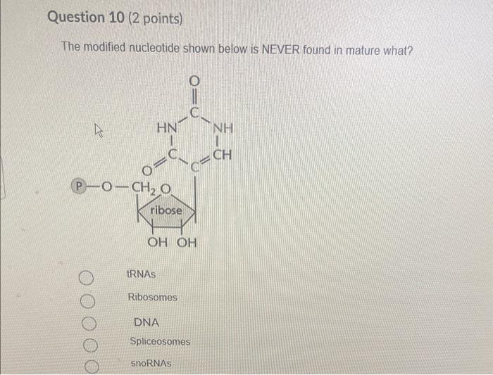 Solved The modified nucleotide shown below is NEVER found in | Chegg.com