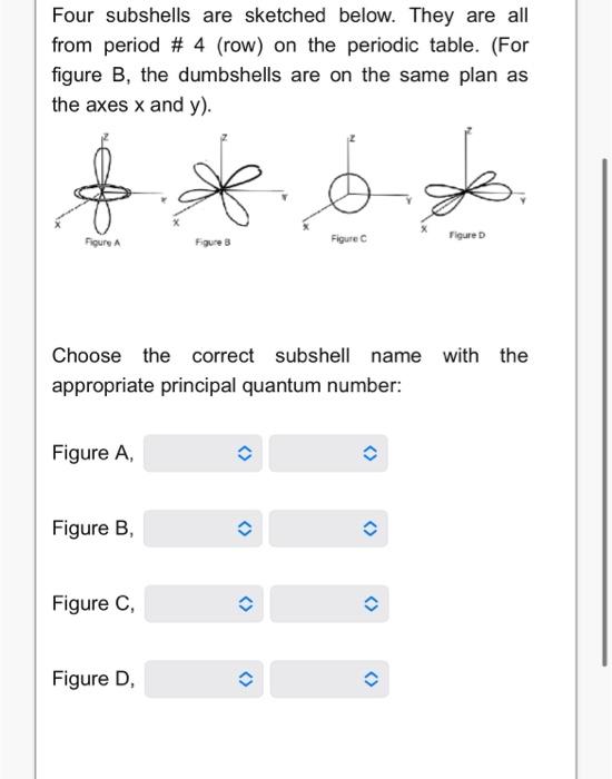 Solved Four subshells are sketched below. They are all from | Chegg.com