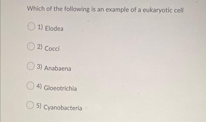 Solved ng is found under Kingdom Monera 1) Elodea 2) | Chegg.com