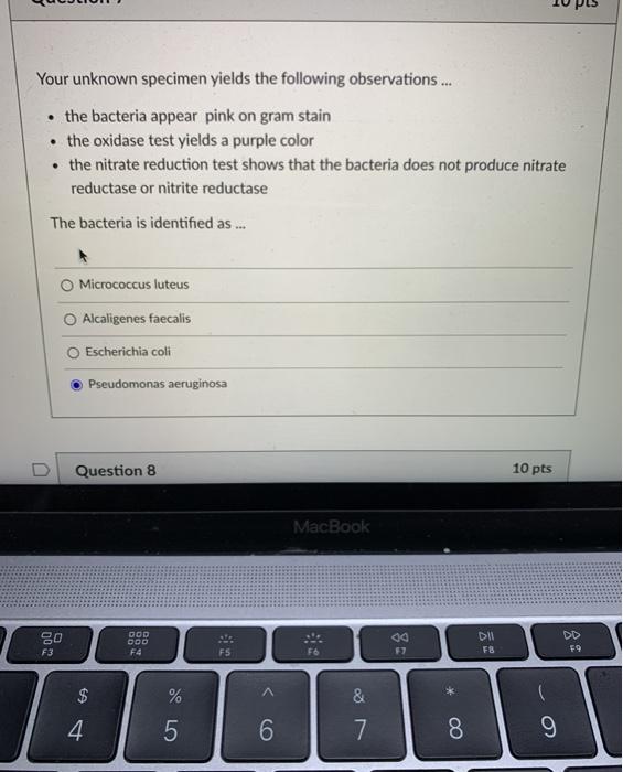Solved 2 Your unknown specimen yields the following | Chegg.com