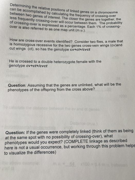 Solved need help with these genetic questions! makeing the | Chegg.com