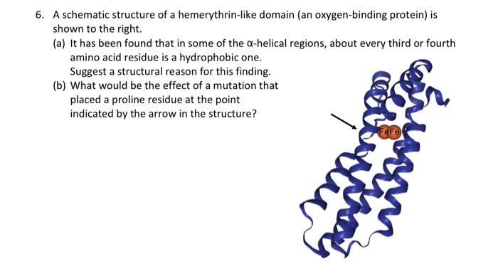 Solved 6. A schematic structure of a hemerythrin-like domain | Chegg.com Solved 6. A schematic structure of a hemerythrin-like domain | Chegg.com