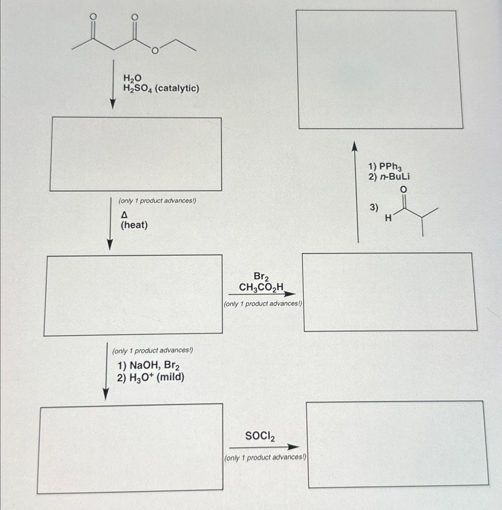 Solved H2O H2SO4 (catalytic)(only 1 ﻿product | Chegg.com