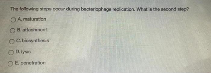 Solved The following steps occur during bacteriophage | Chegg.com