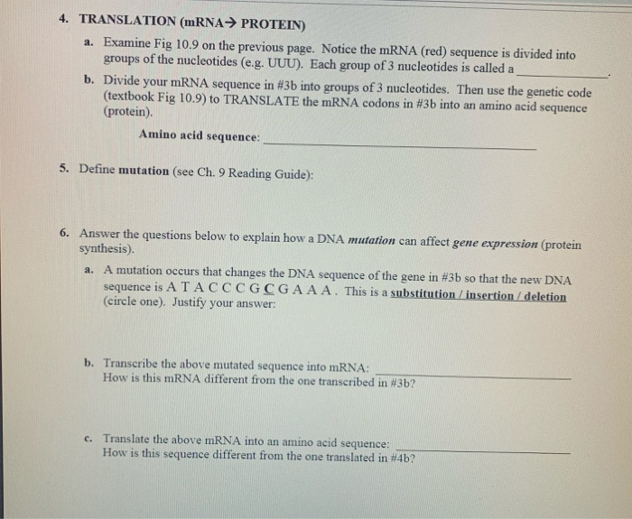 Solved FIG 10.9: Summary of Gene Expression (Protein | Chegg.com