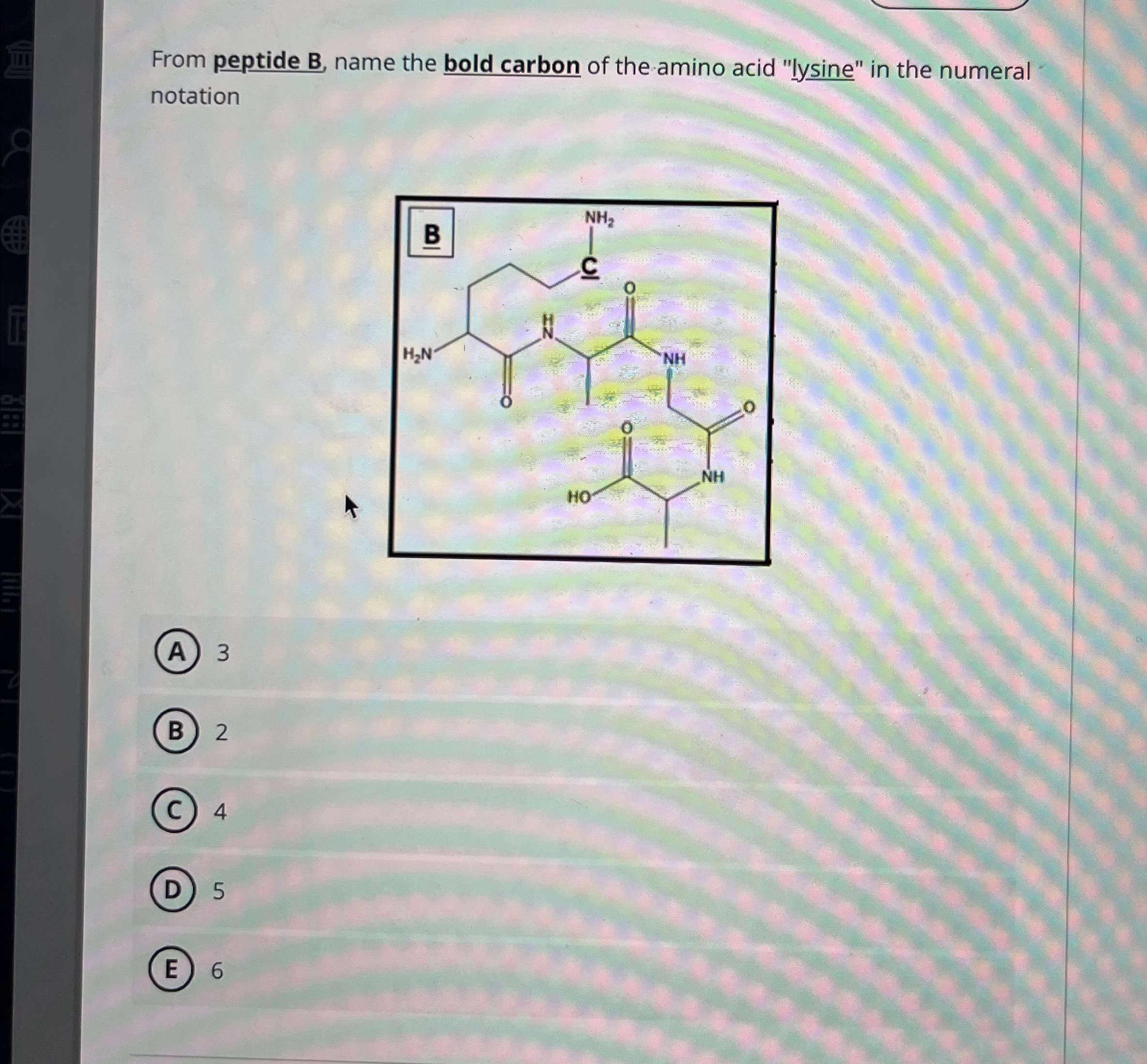 Solved From peptide B, ﻿name the bold carbon of the amino | Chegg.com