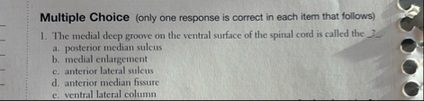 Solved Multiple Choice (only one response is correct in each | Chegg.com
