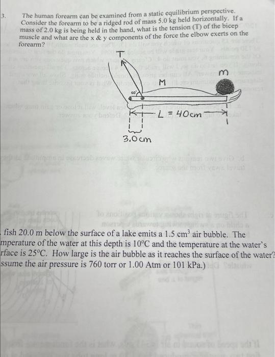 Solved 3. The human forearm can be examined from a static | Chegg.com