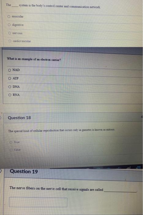 Solved The system is the body's control center and | Chegg.com